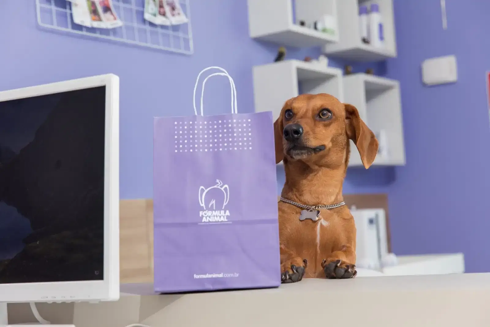 Formula Animal Londrina